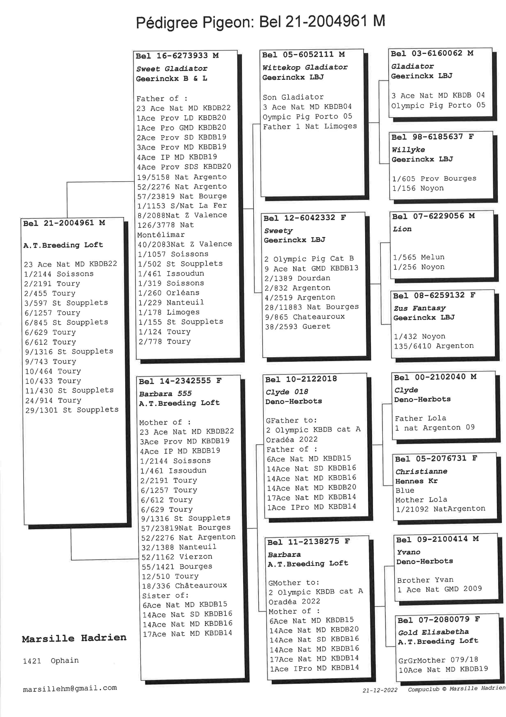 Marsille Hadrien - AT Breeding Loft (Ophain) 1st National champion ...