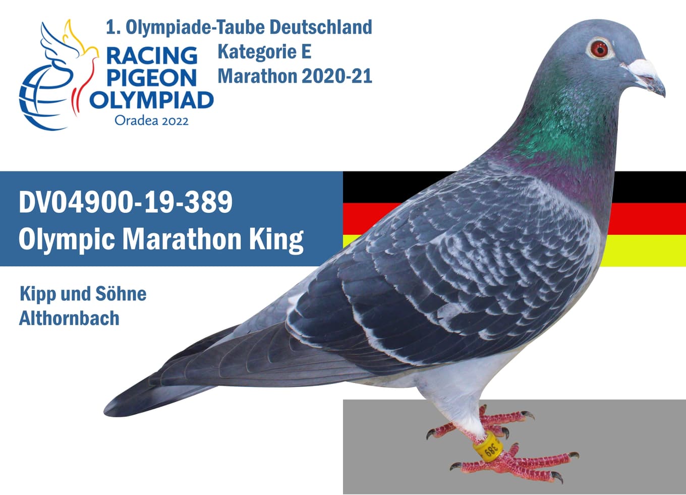 Kipp und Söhne: The perfect marathon bird