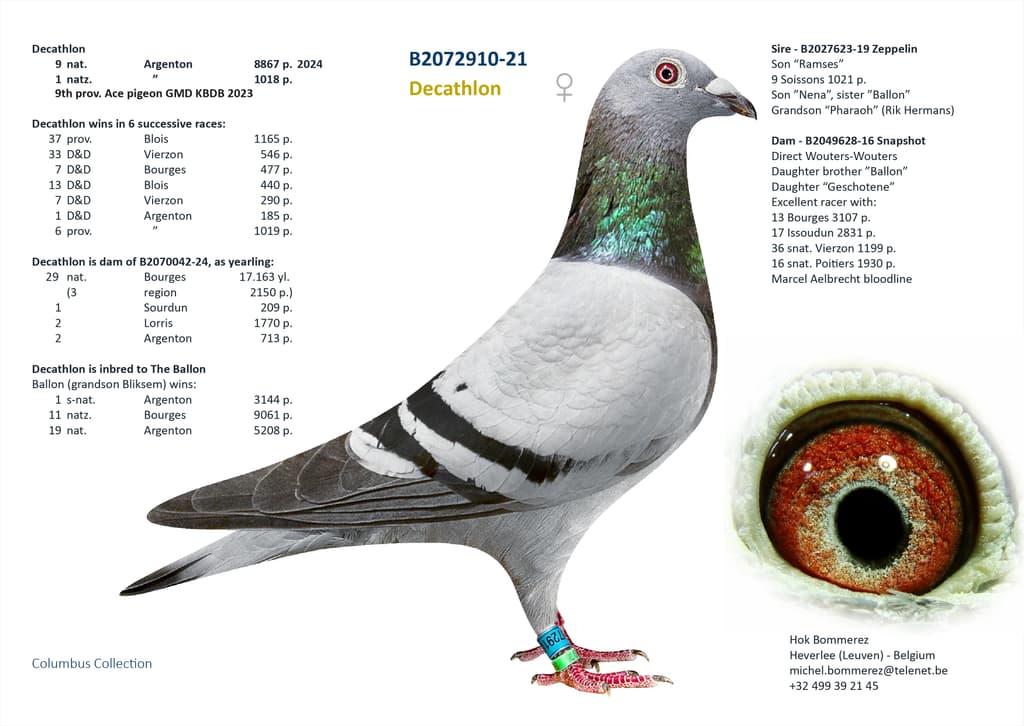 “Niels” - BE-25-2044861