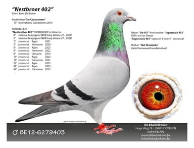 Koen de Backer (Hoevenen) wint 1ste en 2de Prov. Narbonne Jaarlingen ...