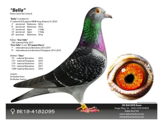 Koen de Backer (Hoevenen) wint 1ste en 2de Prov. Narbonne Jaarlingen ...