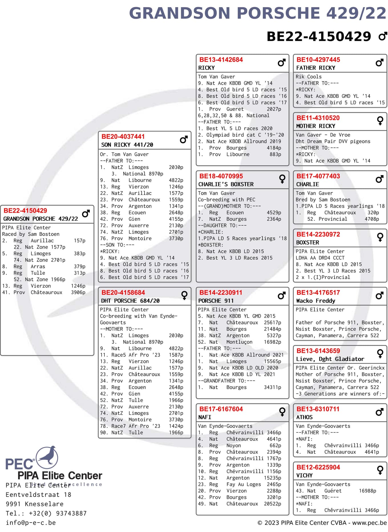Sam Bostoen (Adegem) beleeft met 1e natonale asduif en zilver in ...