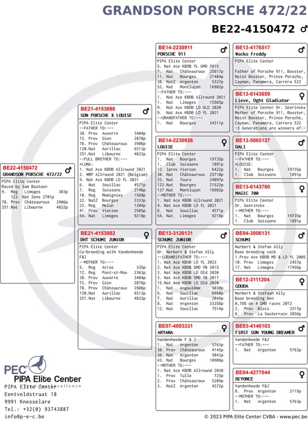 Sam Bostoen (Adegem) beleeft met 1e natonale asduif en zilver in ...