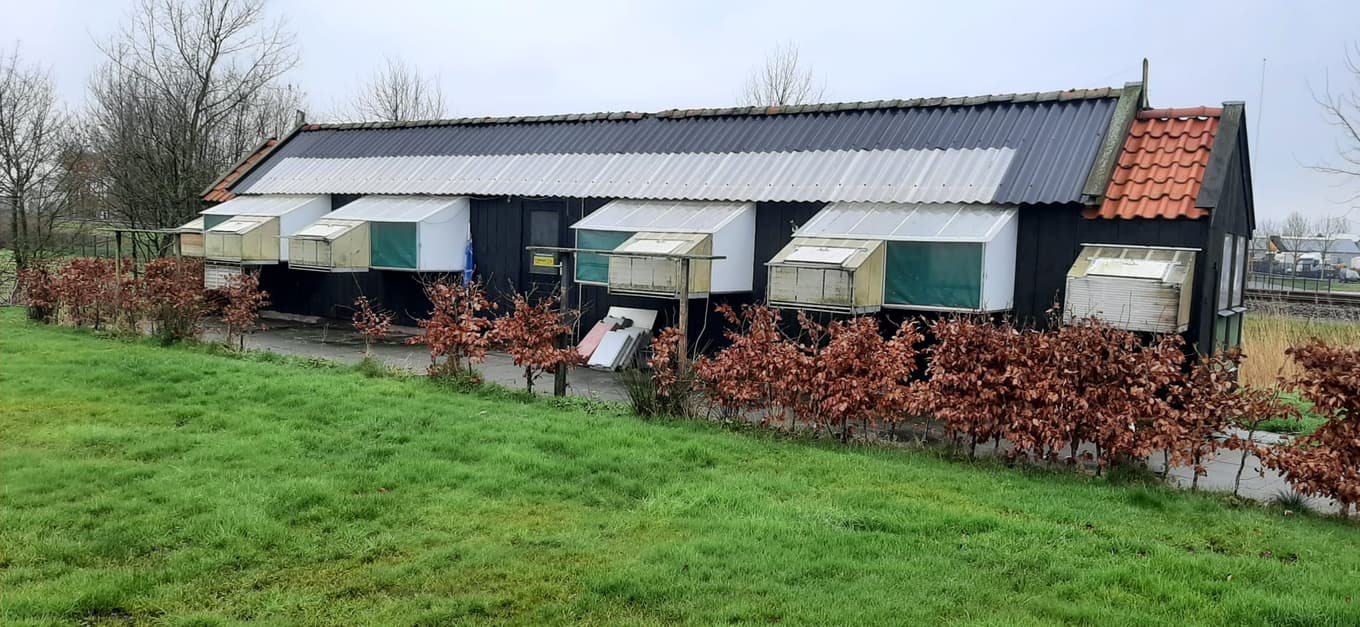 Ype Hemstra Als gekend bijhuis van Leideman Gebroeders 1e Nationale ...