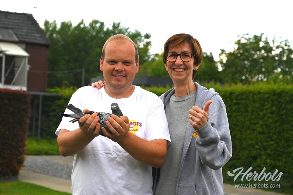 Herbots Jo & Raf - Halle-Booienhoven: 1st Nat. Argenton 4,758 old birds ...