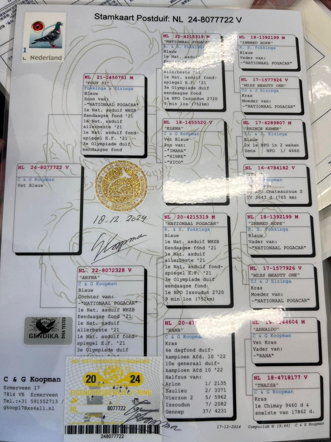 Gerard Koopman wins Final race (530km) 2024-2025 edition of Pattaya ...