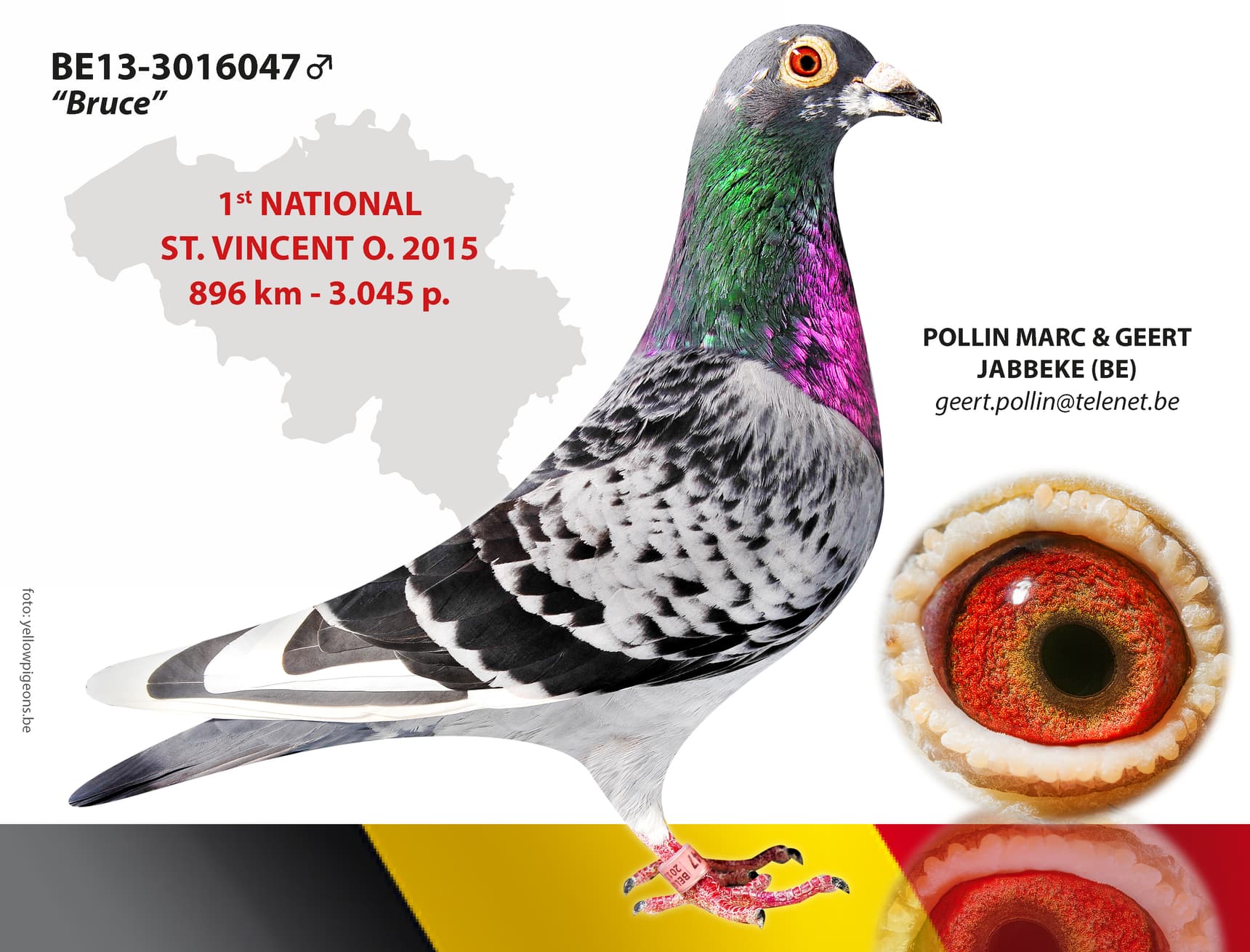 Marc and Geert Pollin (Jabbeke) 3rd general champion KBDB 2018