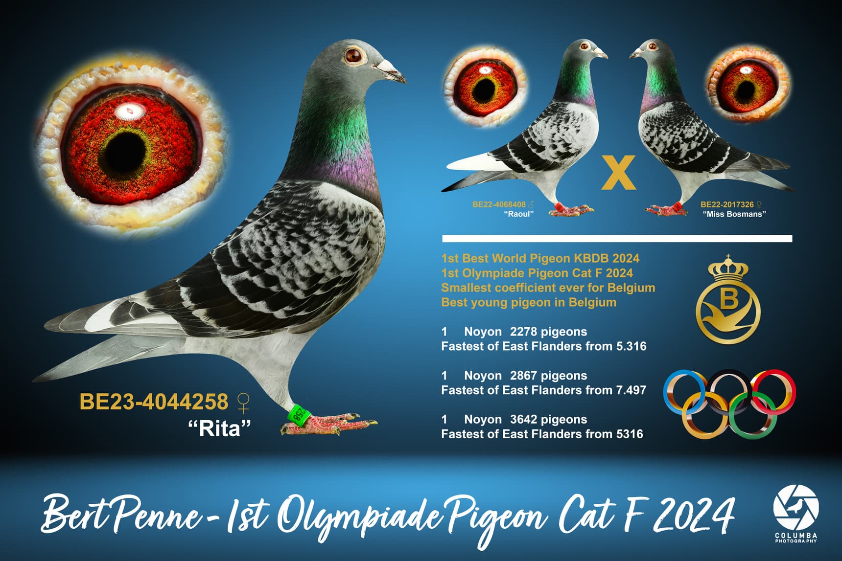 Penne Bert (Nederhasselt) 1° World Best Pigeon youngsters 1st Olympiad ...