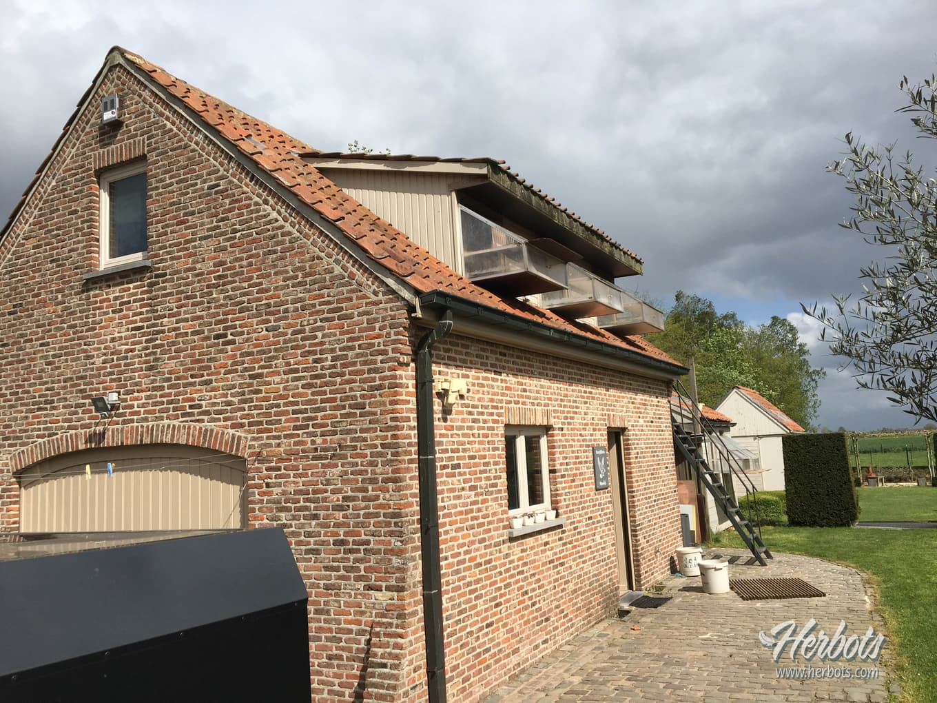 The famous “Chipo” breeding line of Benny Steveninck (B) impressed also ...