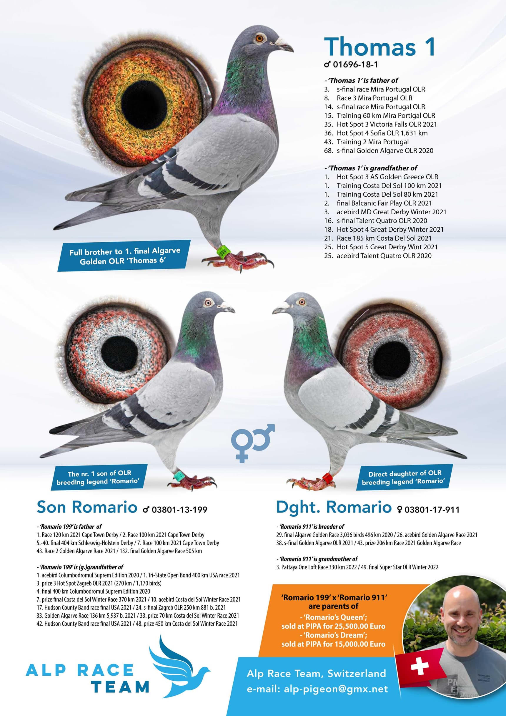 Alp Race Team/Simon Wolf Records winner on One-Loft-Races world-wide The power of “Thomas 1” and ...