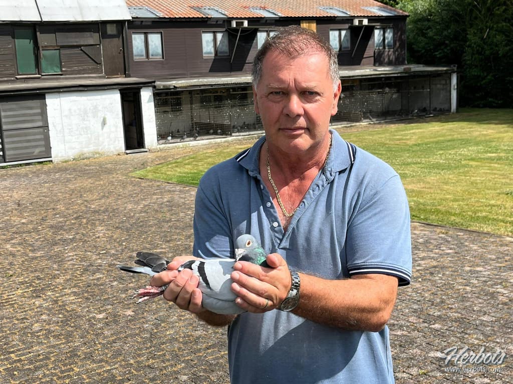 Erik Limbourg (Brussegem) wint 1ste Provinciaal Montoire 1.504d ...