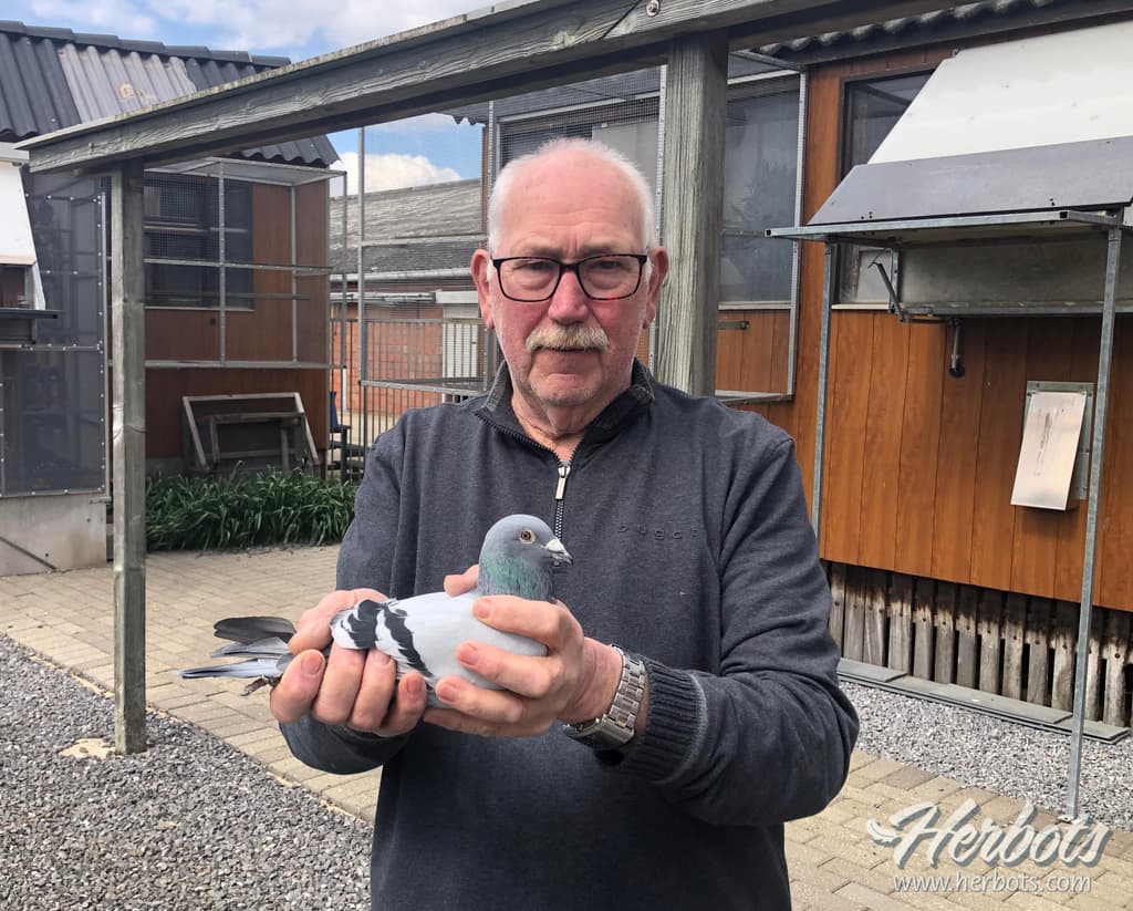 Rigo Lenaers uit Vliermaal sterk op dreef in begin seizoen dankzij 8 x ...