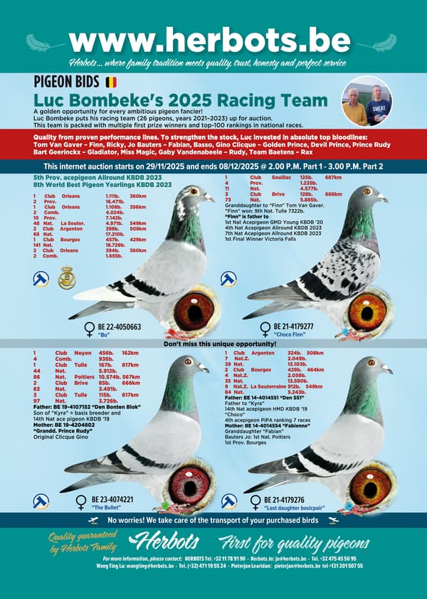 Pigeon Bids Bombeke Luc part 1