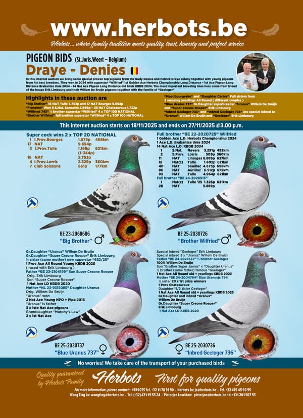 Pigeon Bids Draye - Denies