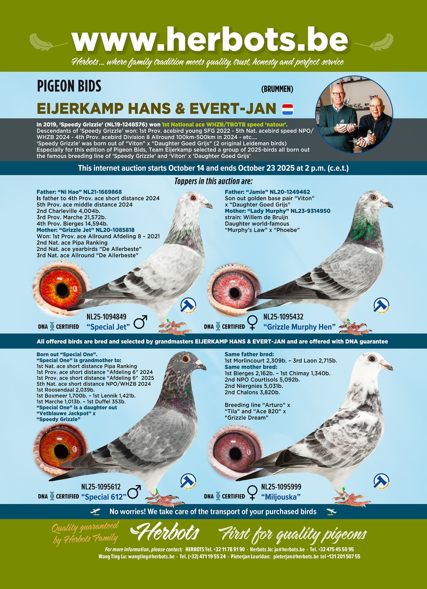 Eijerkamp Hans & Evert-Jan continue to dominate Dutch pigeon racing