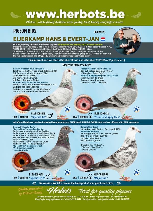 Eijerkamp Hans & Evert-Jan continue to dominate Dutch pigeon racing