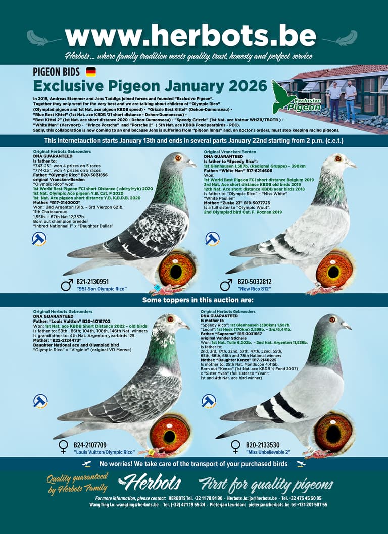 Pigeon Bids Exclusive Pigeon January 2026 - Part 3