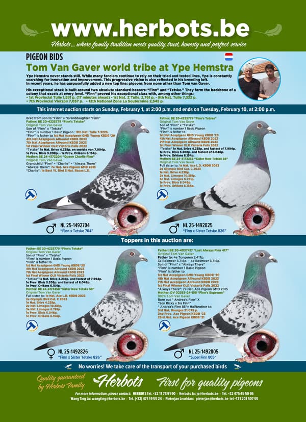 Pigeon Bids - Tom Van Gaver world tribe at Ype Hemstra