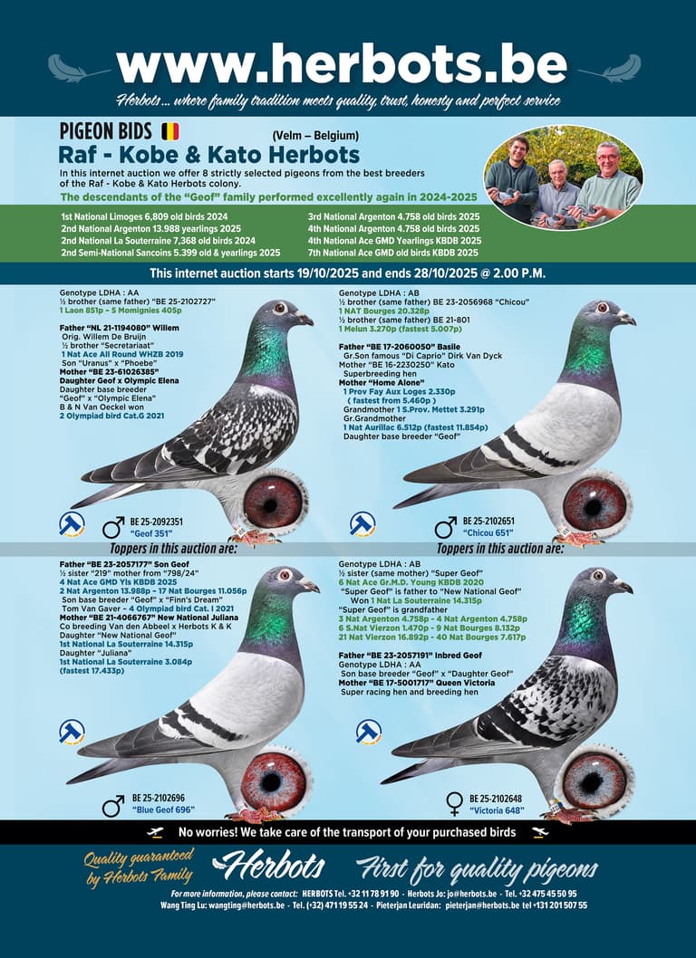 Pigeon Bids Raf - Kobe & Kato Herbots