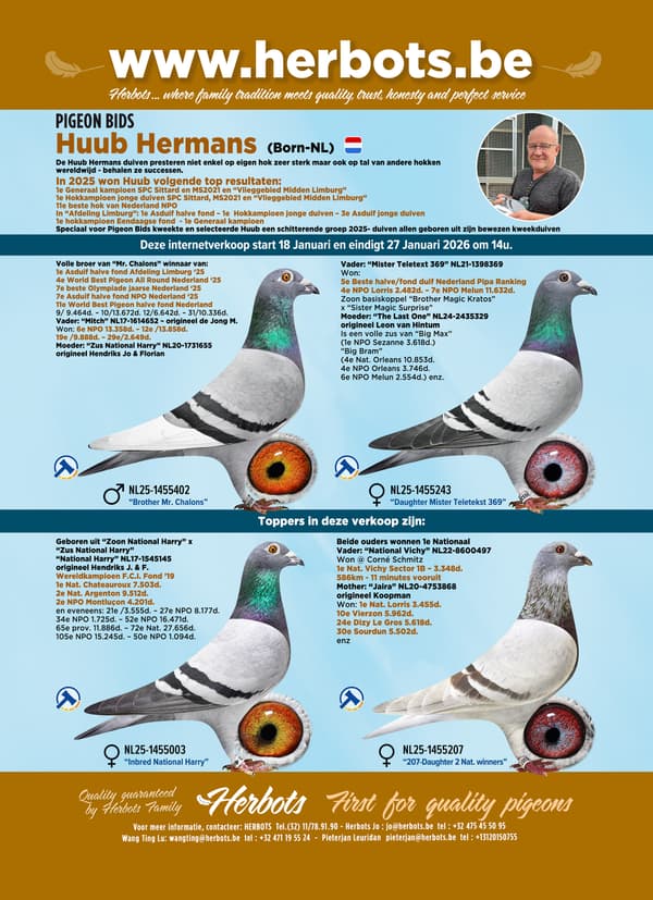 Pigeon Bids Hermans Huub January 2026