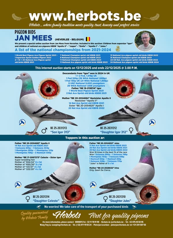 Pigeon Bids Mees Jan