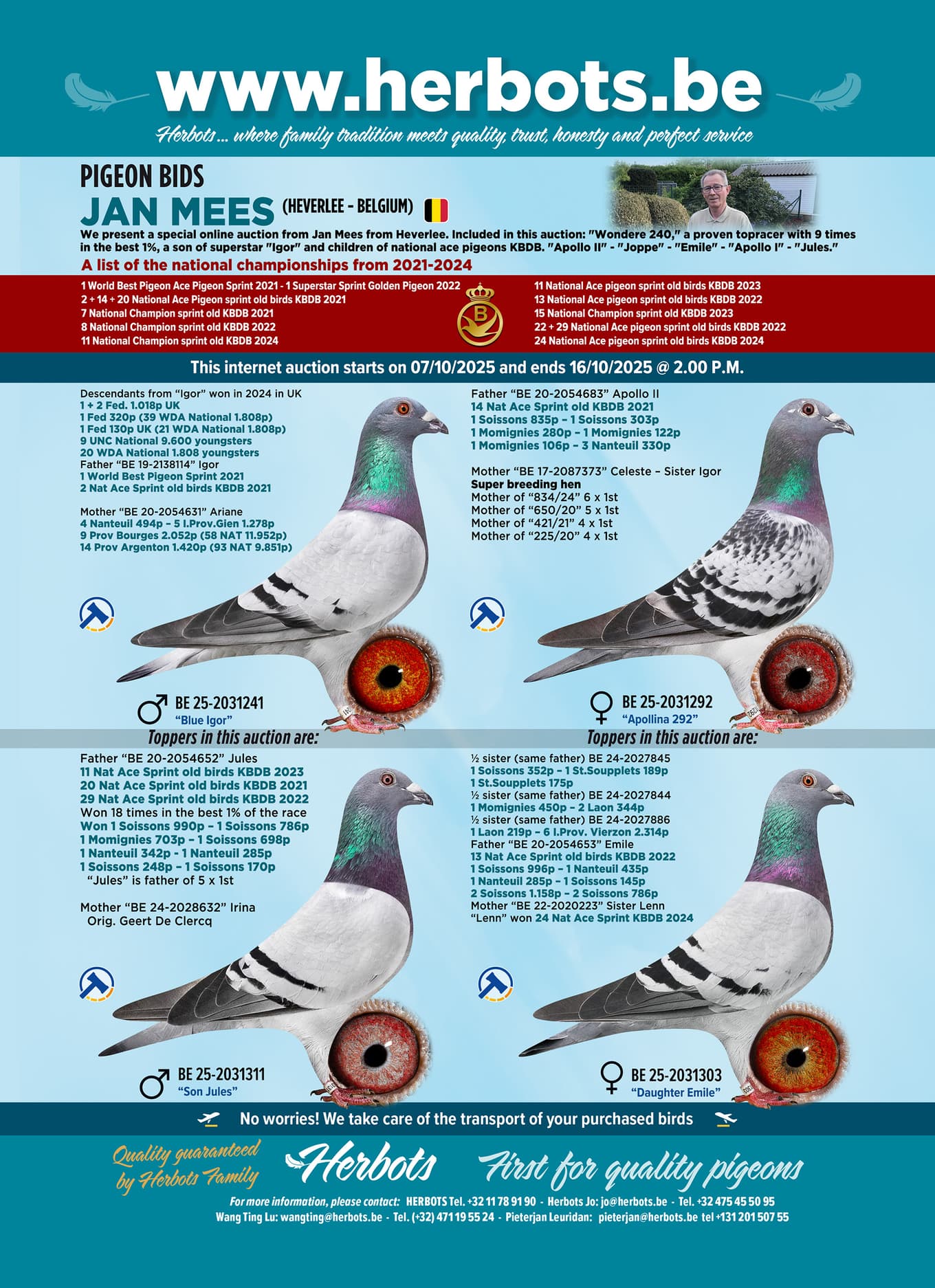 Pigeon Bids Mees Jan