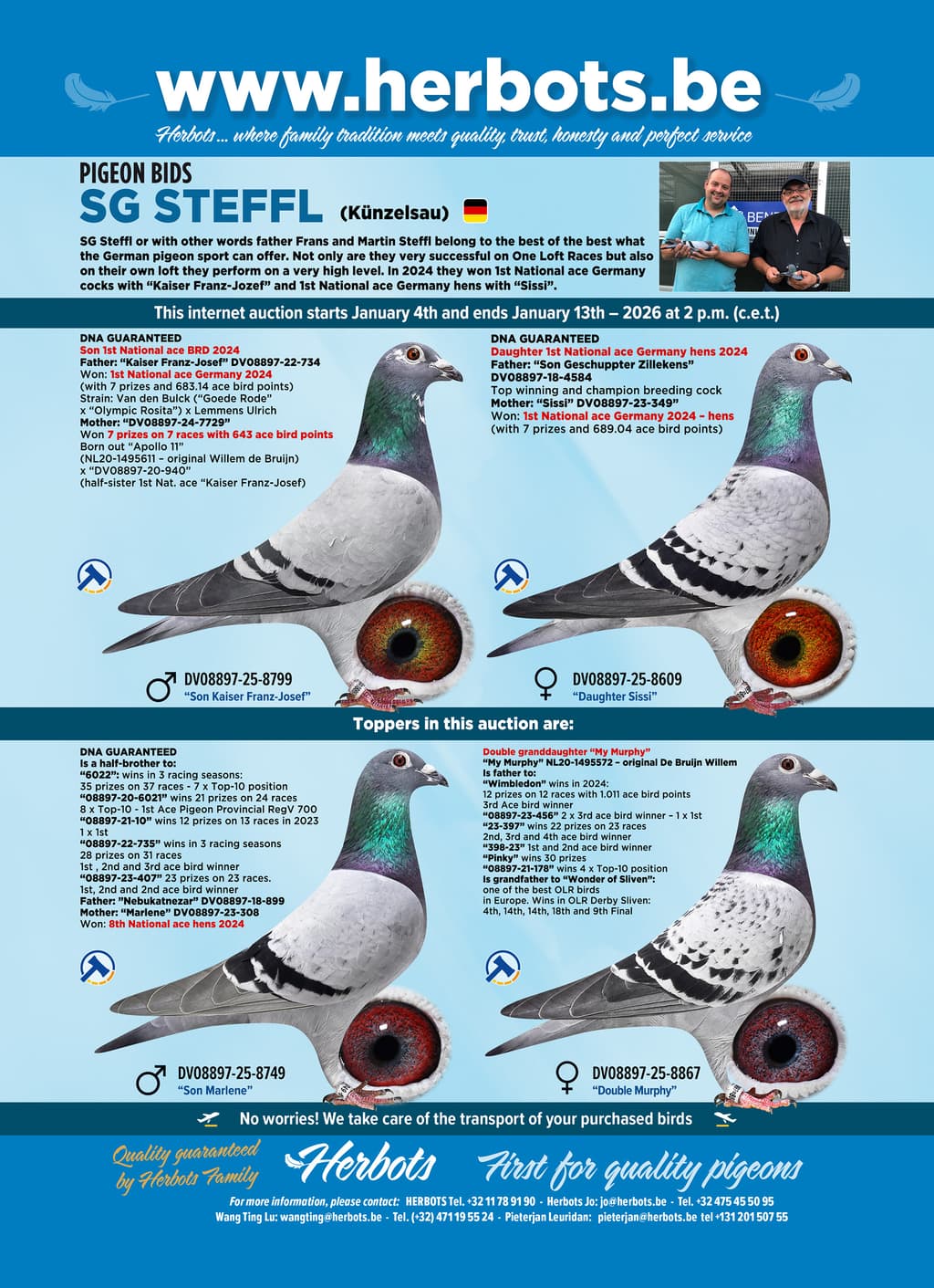 Pigeon Bids SG Steffl