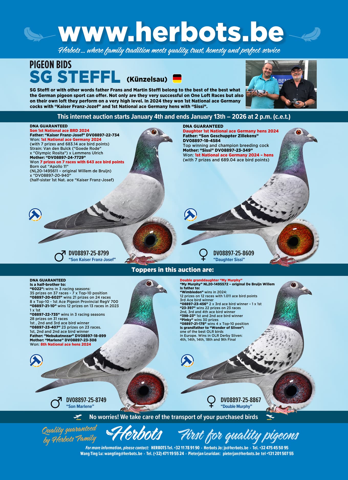 Pigeon Bids SG Steffl