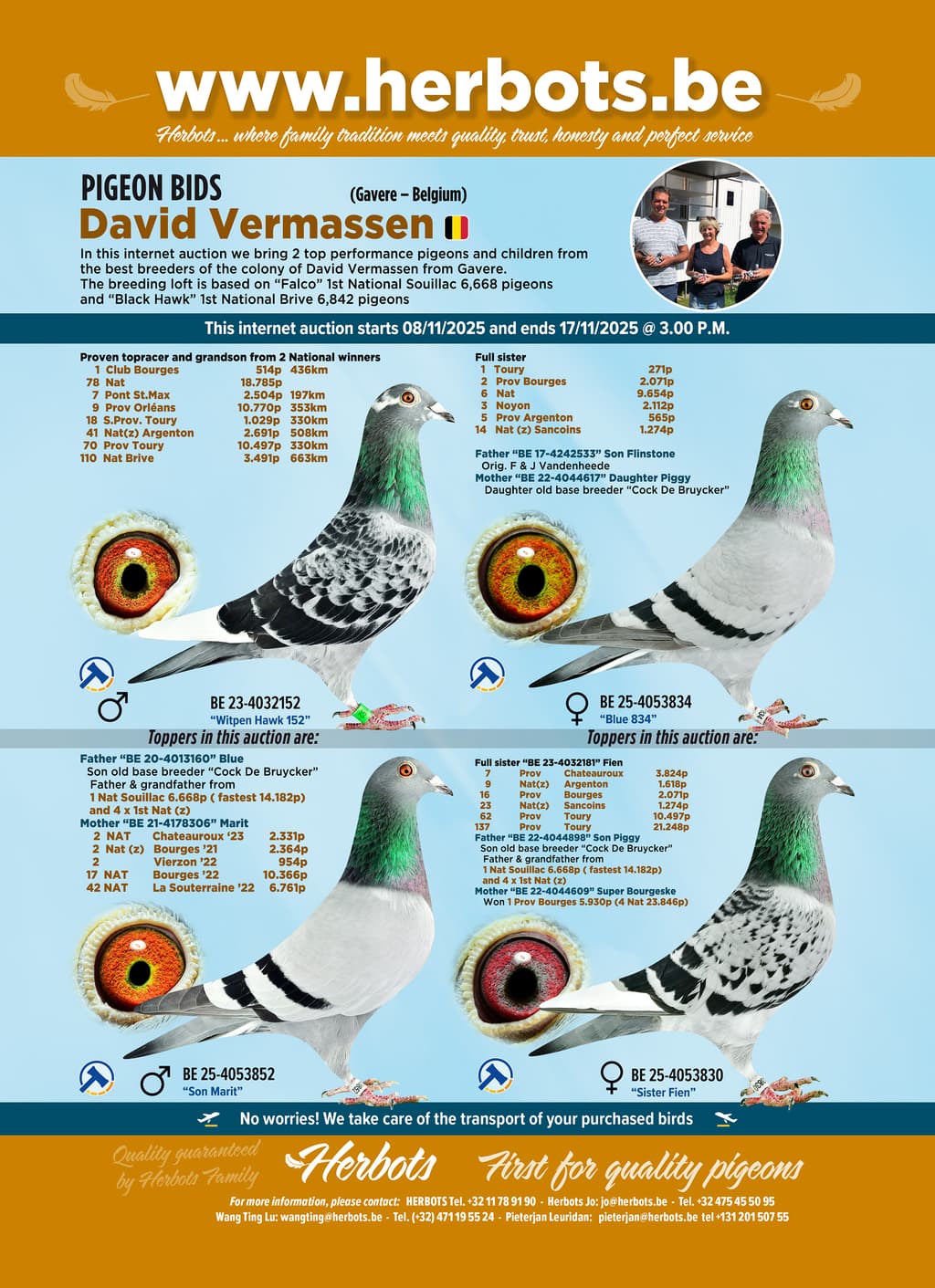 Pigeon Bids Vermassen David