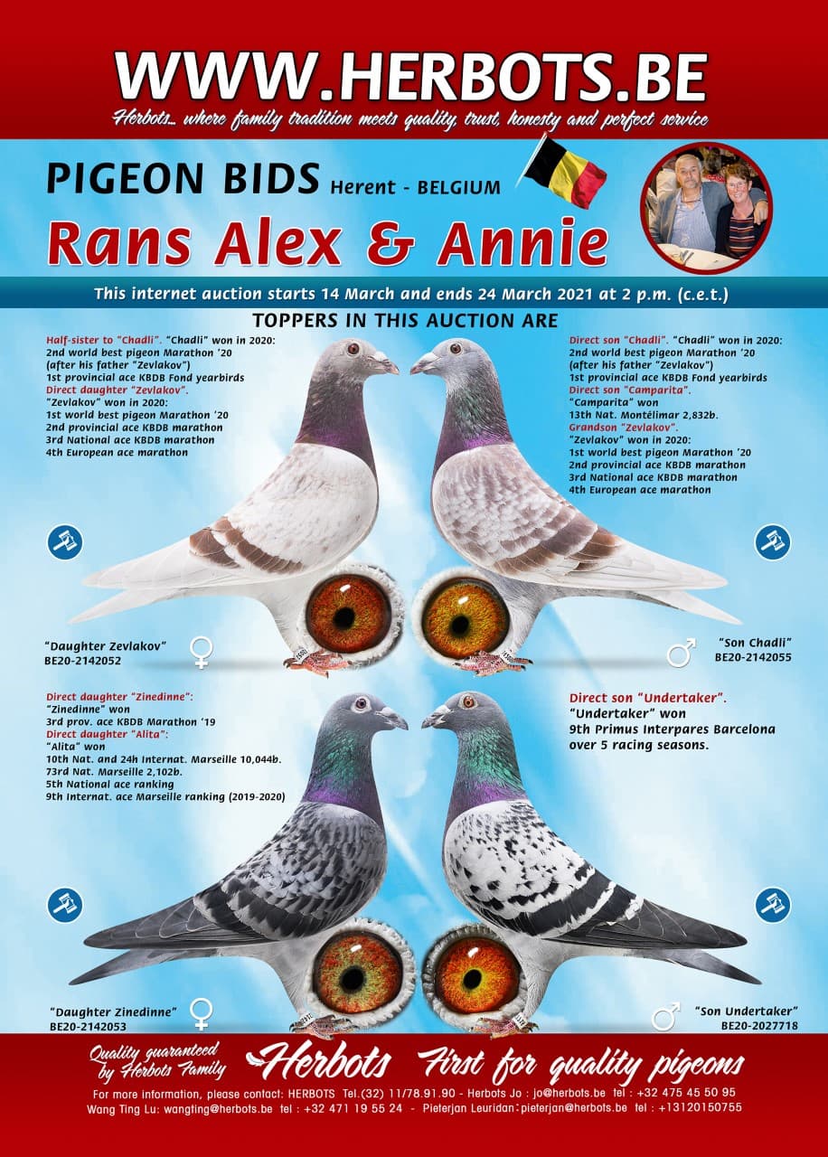 Alex Rans, Herent, aan de top van de zware fond sinds tientallen jaren