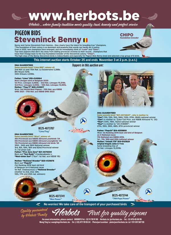 班尼·史蒂文（Benny Steveninck）