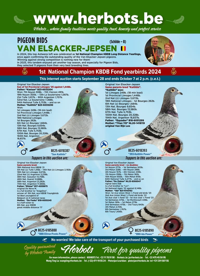 Pigeon Bids Van Elsacker-Jepsen