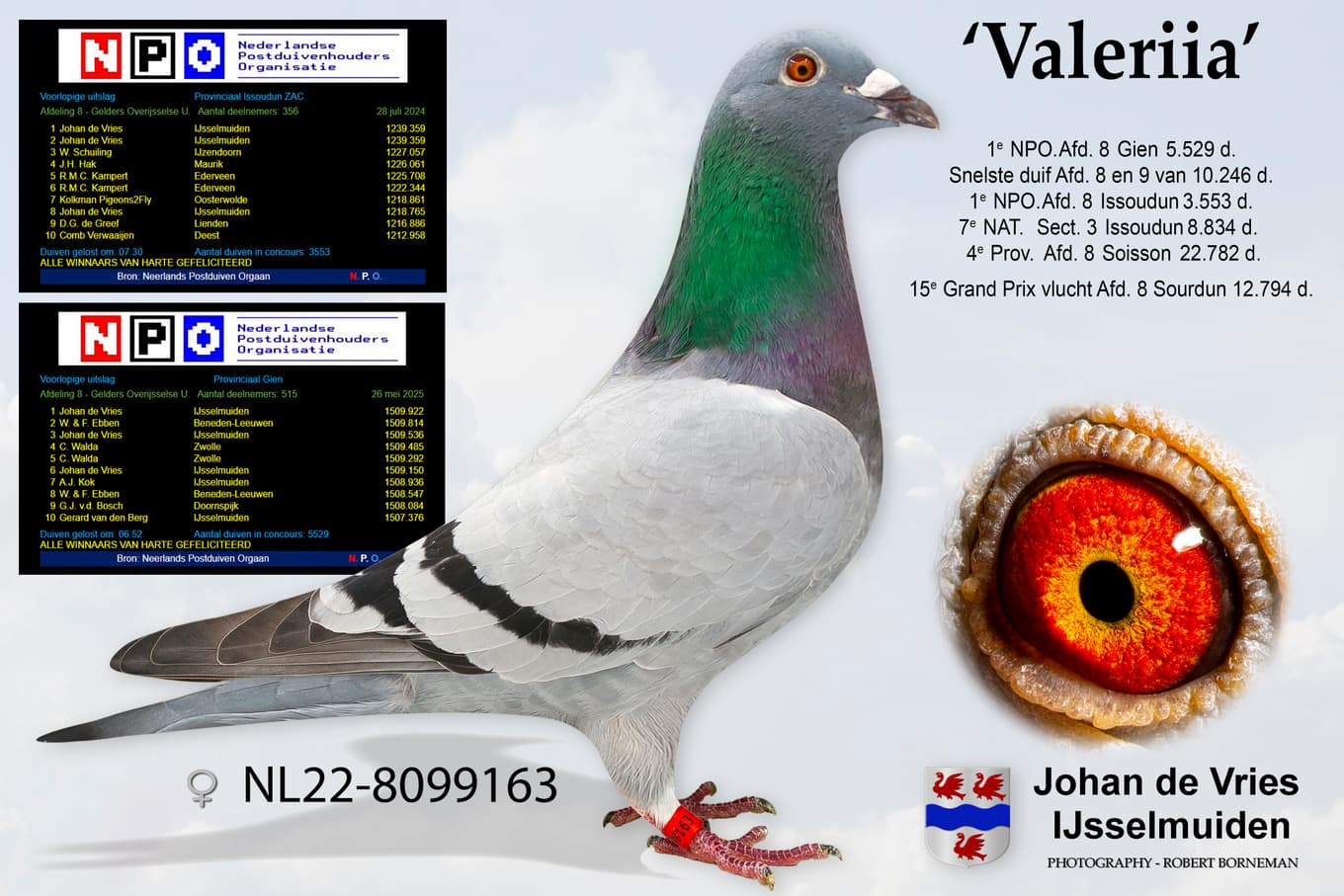 Johan de Vries (IJsselmuiden): Rising from nothing, now a fixture at the top of the Dagfond!