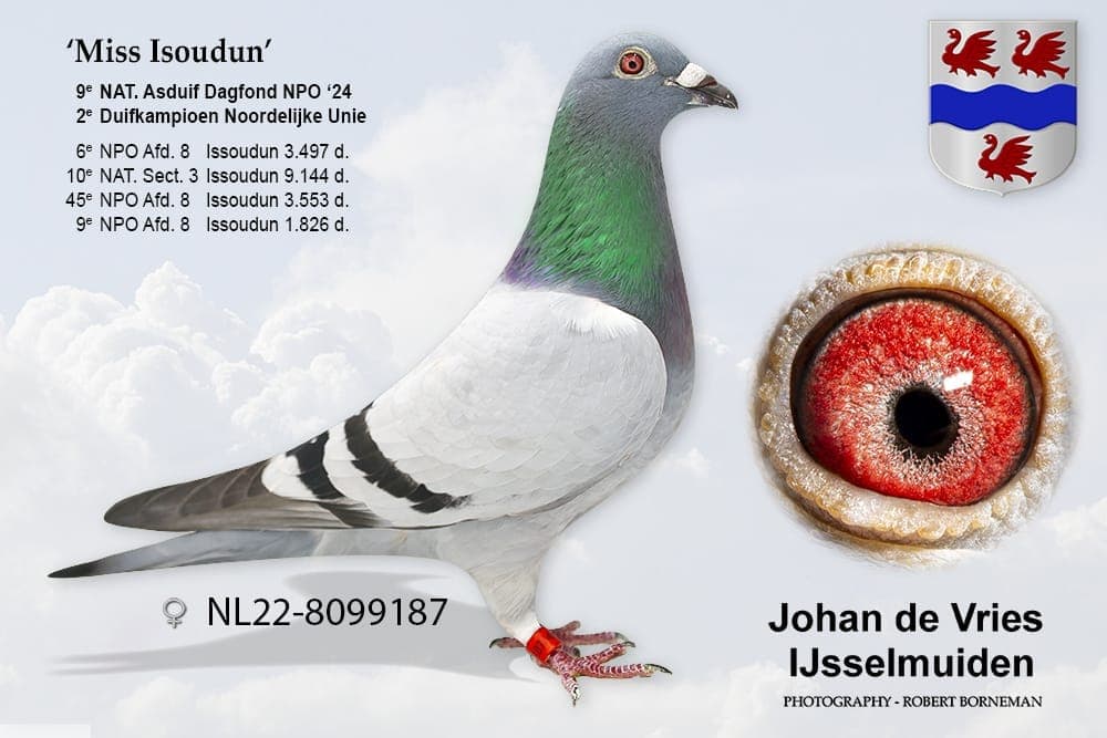 Johan de Vries (IJsselmuiden): Rising from nothing, now a fixture at the top of the Dagfond!