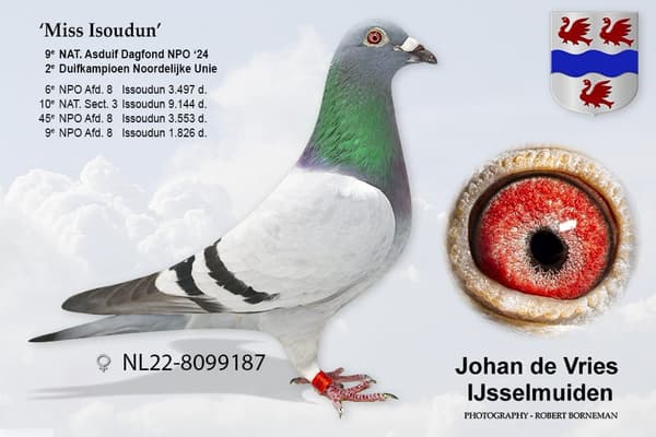 Johan de Vries (IJsselmuiden): Rising from nothing, now a fixture at ...