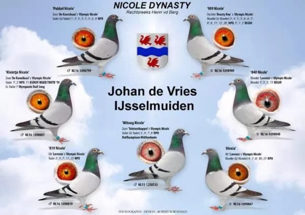 Johan de Vries (IJsselmuiden): Rising from nothing, now a fixture at ...