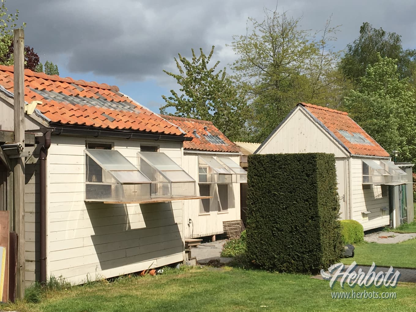 Benny Steveninck (Hamme) : 2019 became the next top season in a row