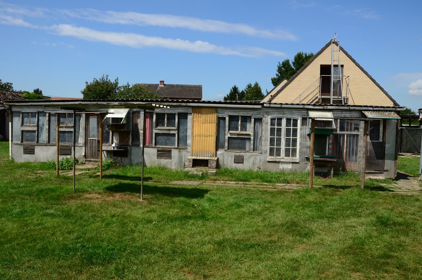 Dirk Van Dyck - Zandhoven "De Kannibaal" changed his life!