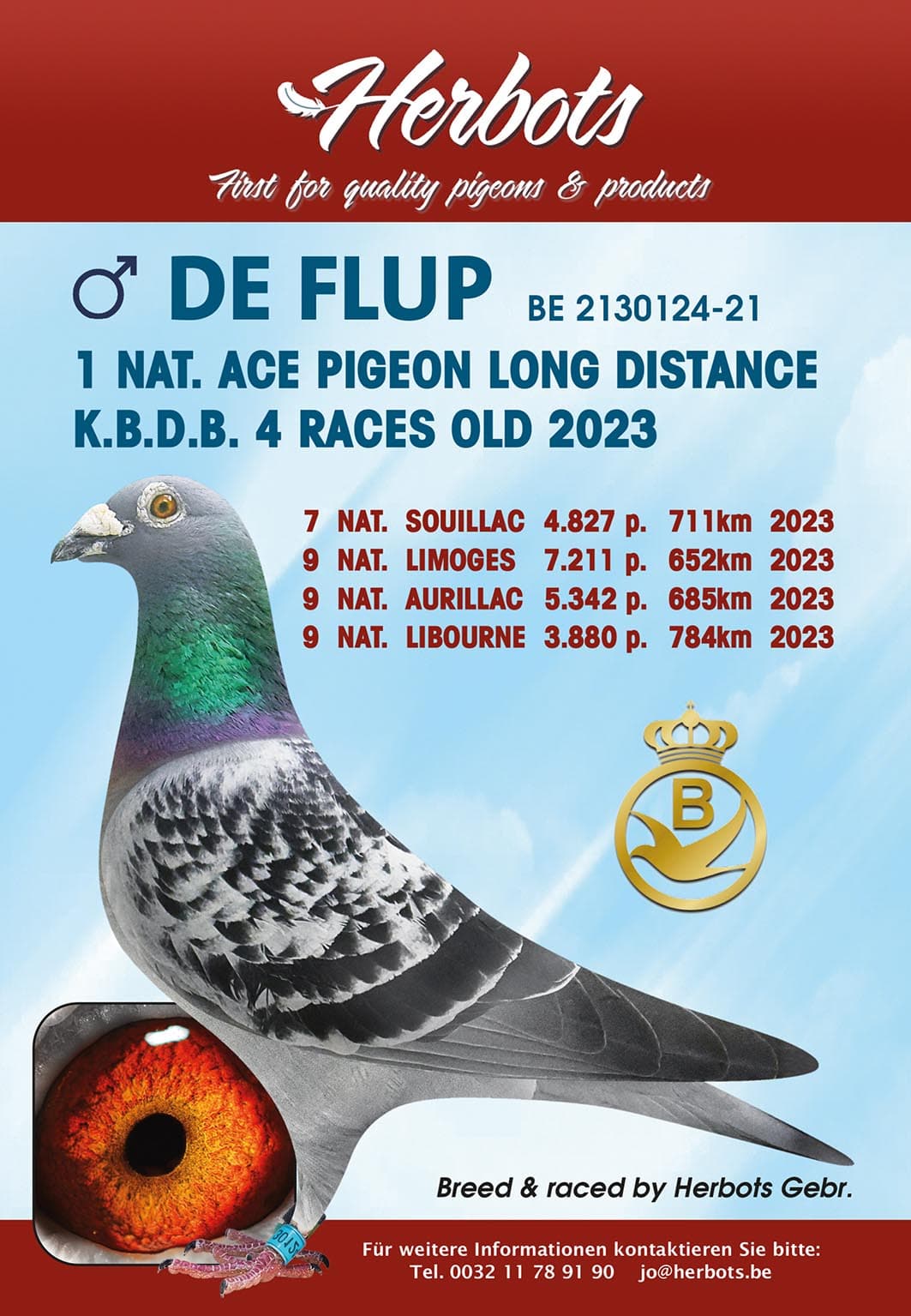 Ace Pigeon of the Month July Long Distance Herbots Championship