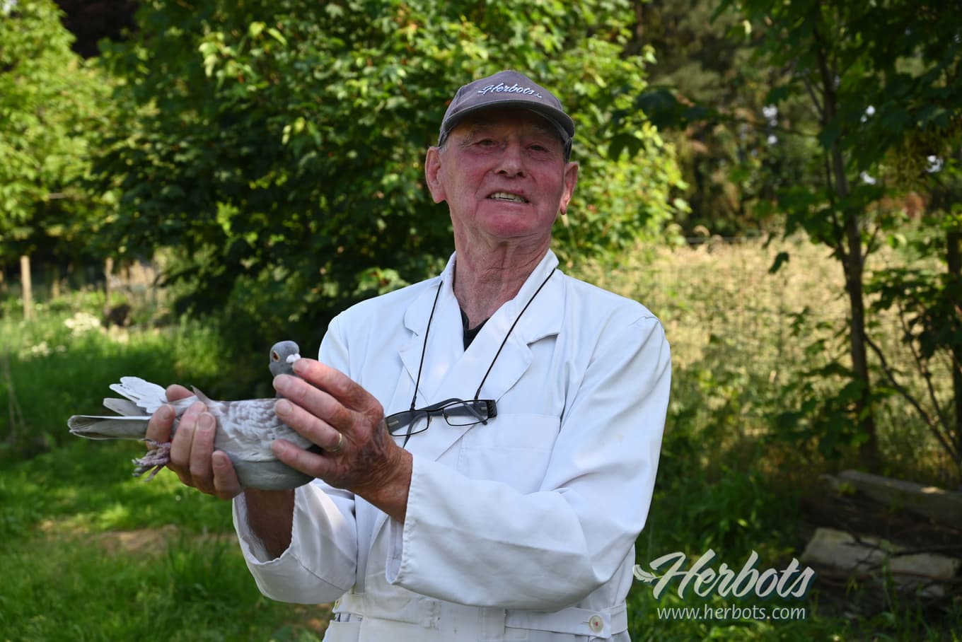 Leutenez Marnix - Kruishoutem: 1st Nat. Tulle 7,883 old birds - fastest ...