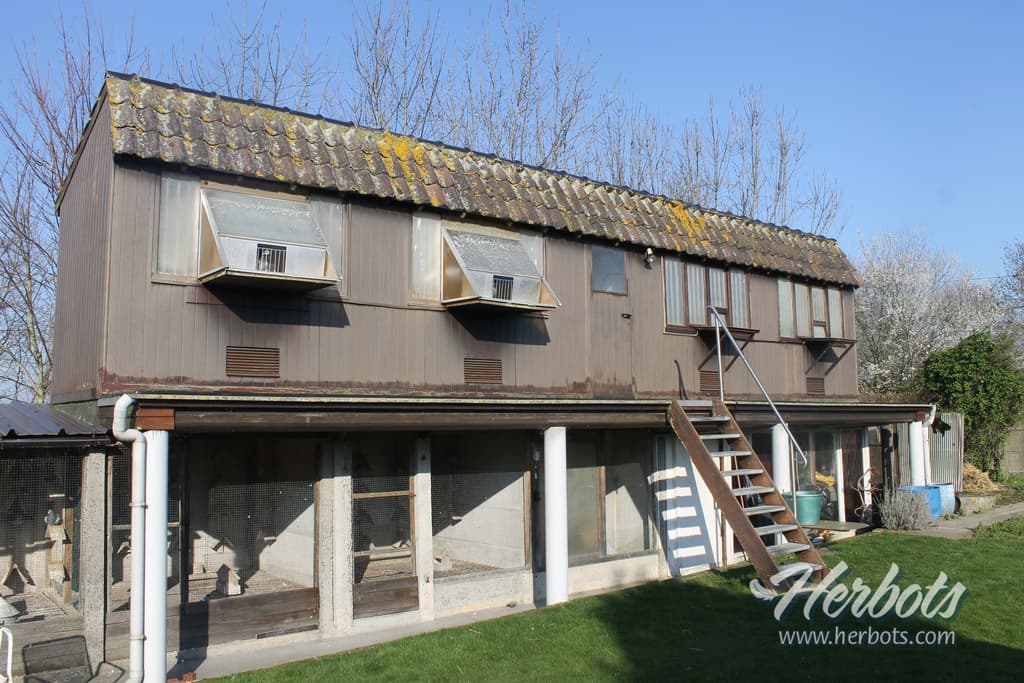 Noël De Clercq (Mater-Oudenaarde) owns with Olympic 005 the 1st ...