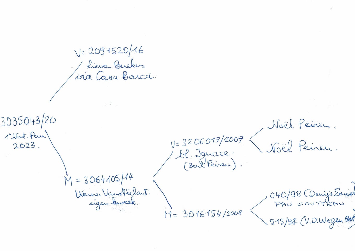 Gerard Koopman wins Final race (530km) 2024-2025 edition of Pattaya ...