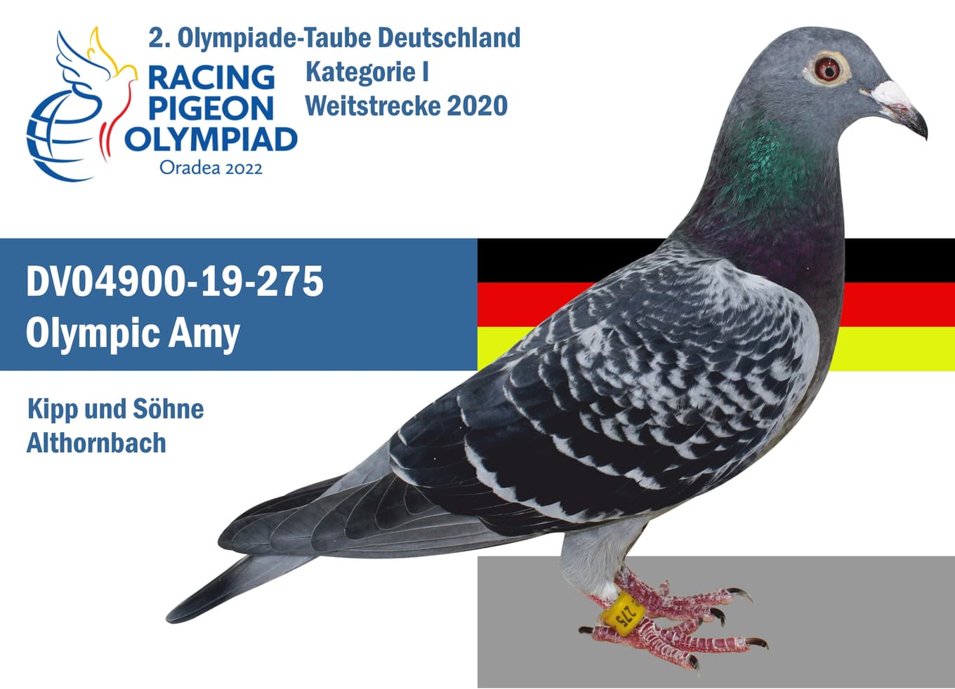 “Daughter Olympic Amy” - DV-04900-23-664