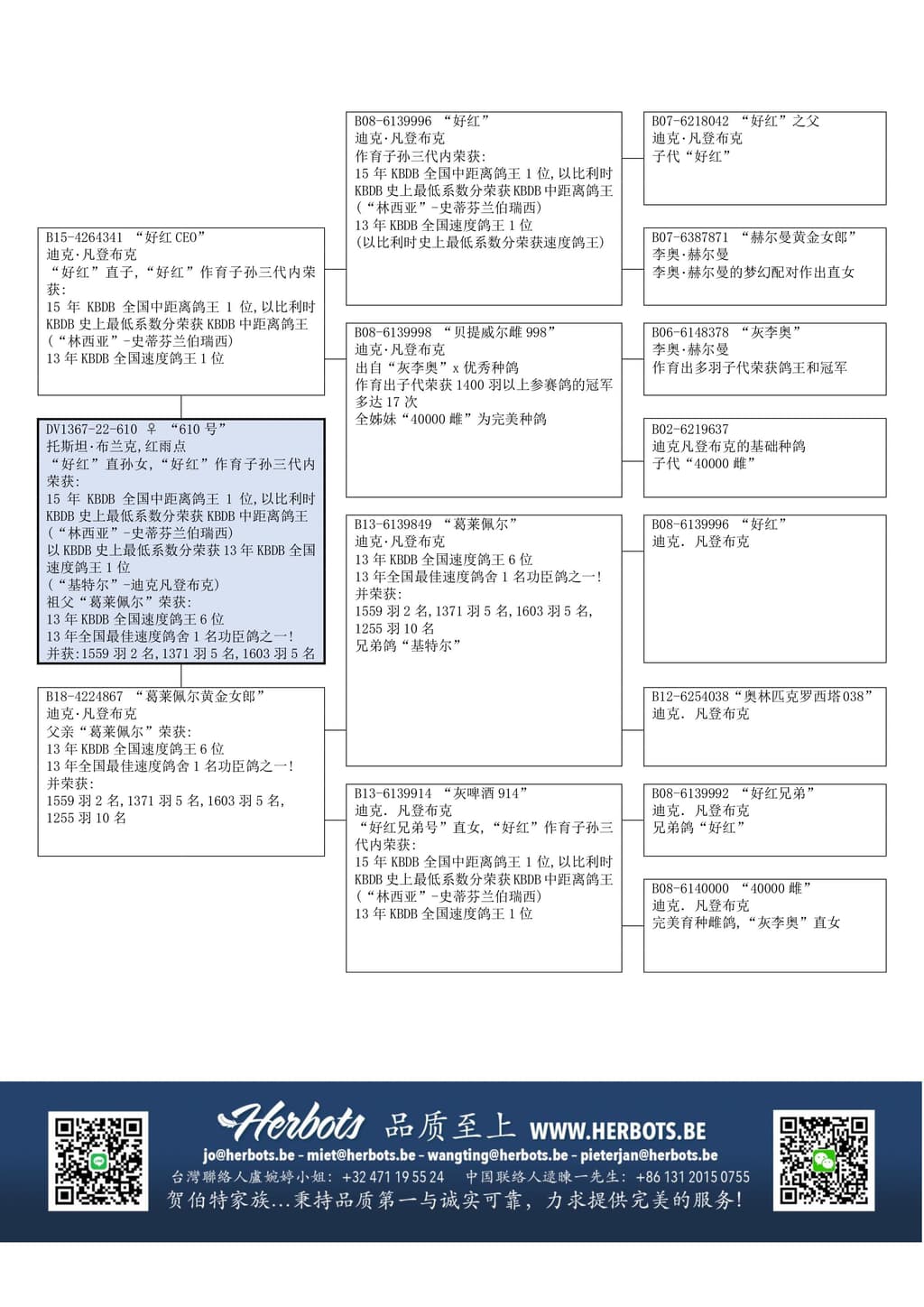 ”610号” - DV-01367-22-610