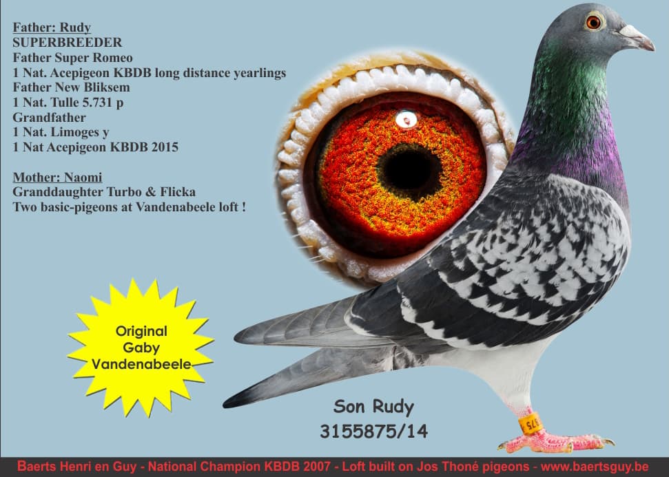 "Miss Rudy" - BE-20-2134325