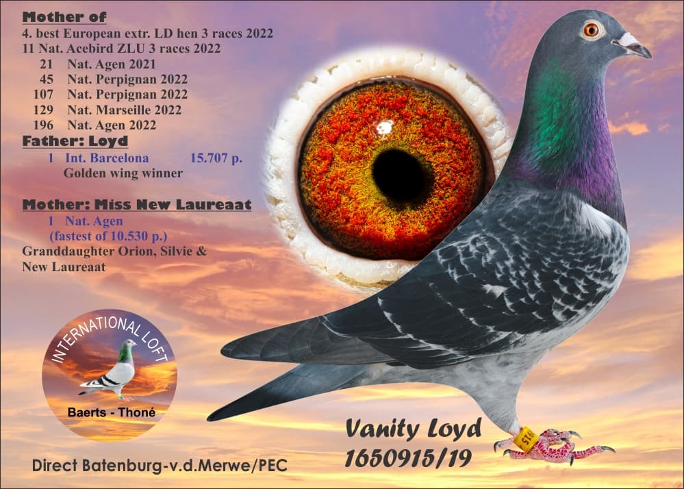 "Janne Loyd" - BE-25-2061950