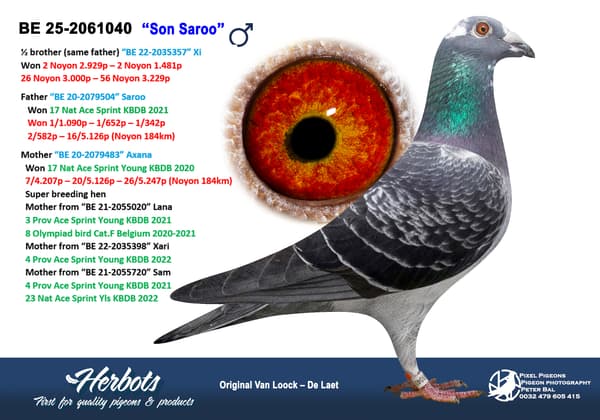 “Son Saroo” - BE-25-2061040