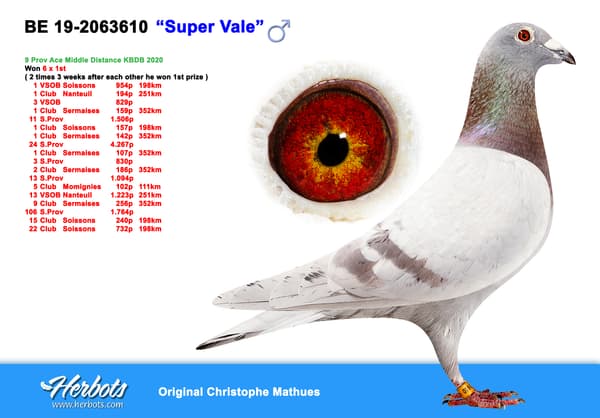 “Vale 347” - BE-22-2109347