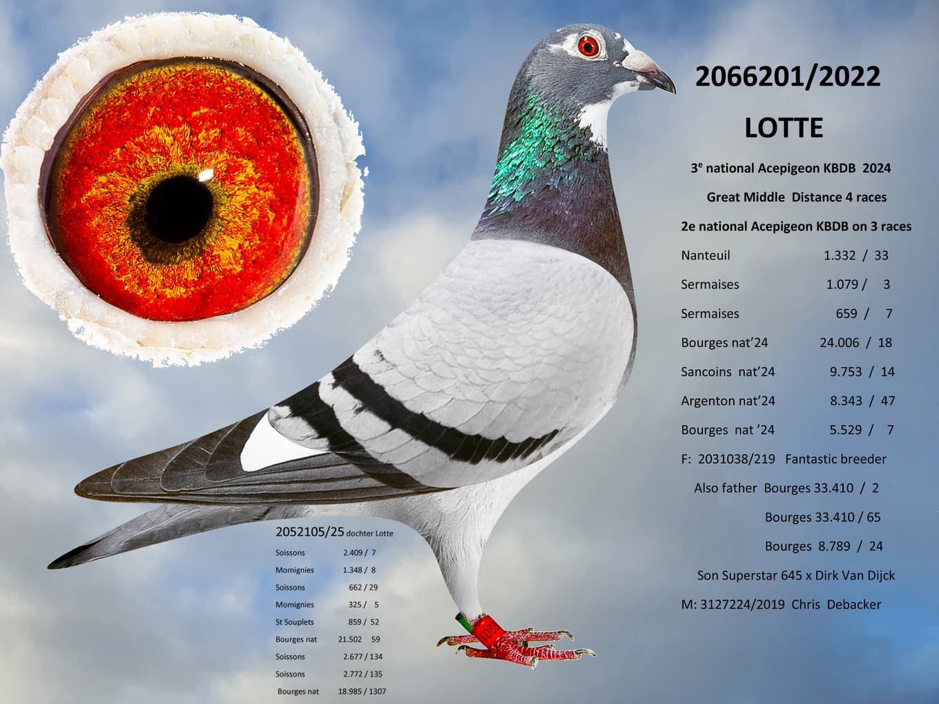 “Daughter Lotte 301” - BE-25-2112301