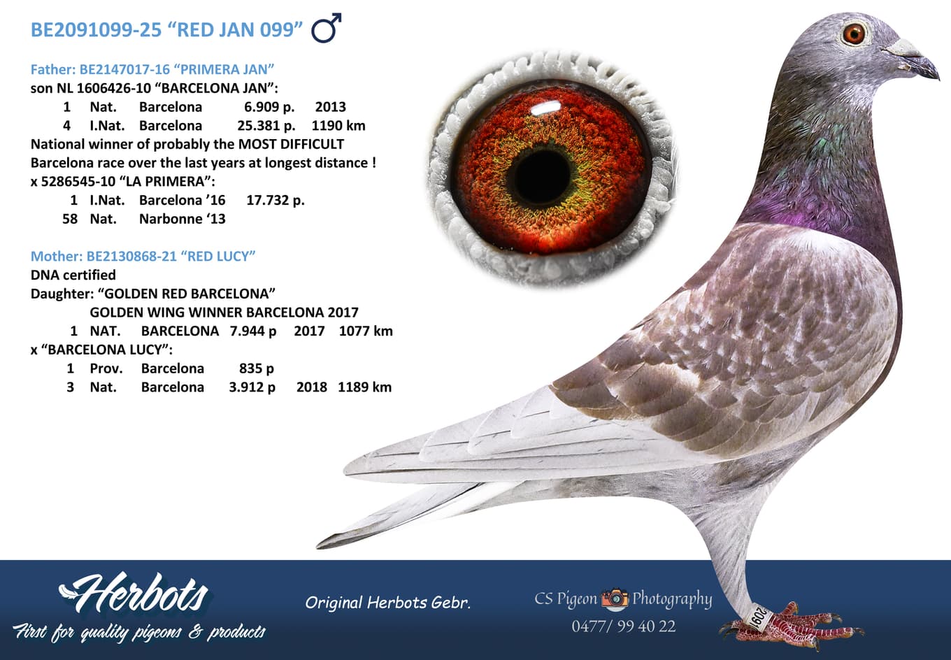 “MEALY BARCA 307” - BE-25-2091307